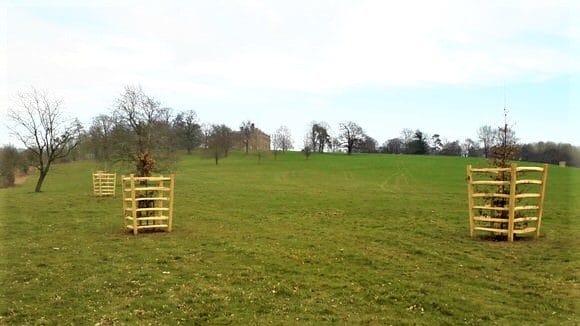 Cleft Tree Guard - Coppice Creations - Sustainable Estate Products