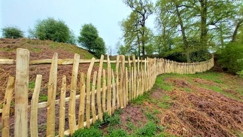 Cleft Deer Fence - Coppice Creations - Sustainable Estate Fencing
